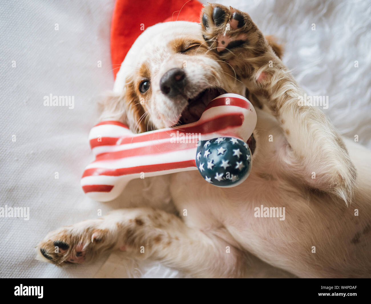 Flag of oviedo hi-res stock photography and images - Alamy