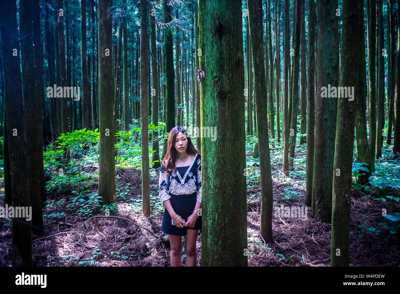 Korean forest hi-res stock photography and images - Alamy