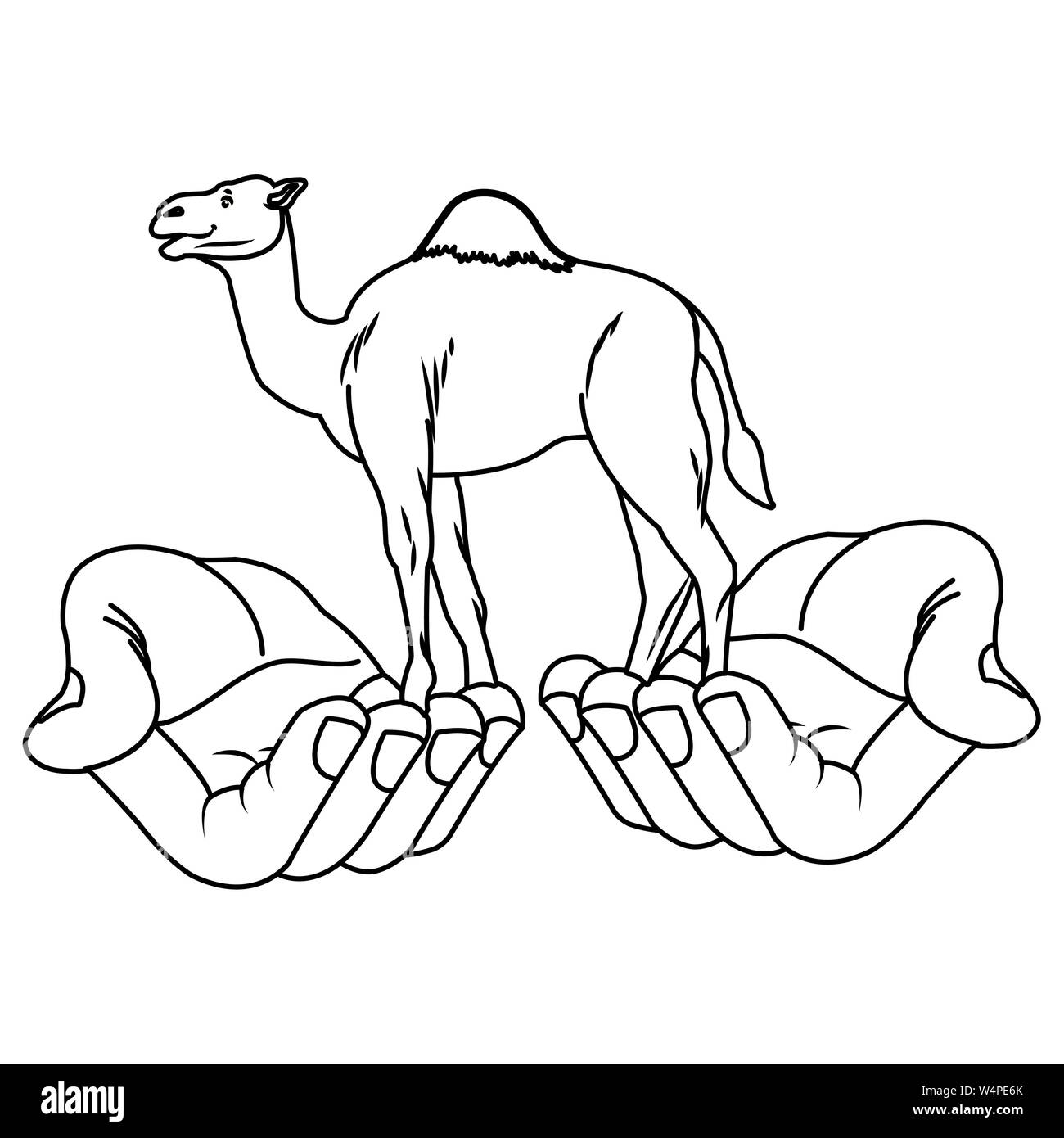Hands hoding camel animal cartoon isolated in black and white Stock ...