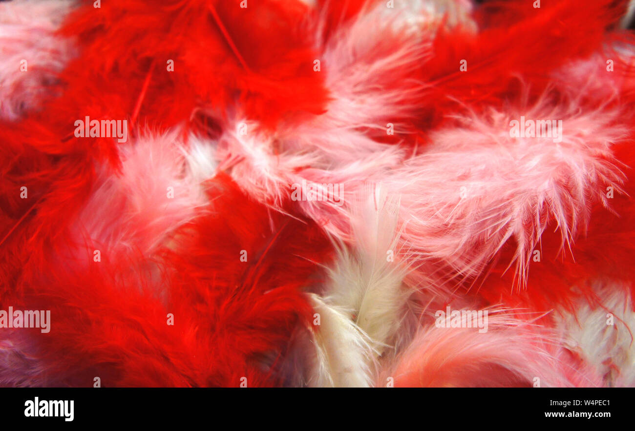 Fluffy backdrop hi-res stock photography and images - Alamy