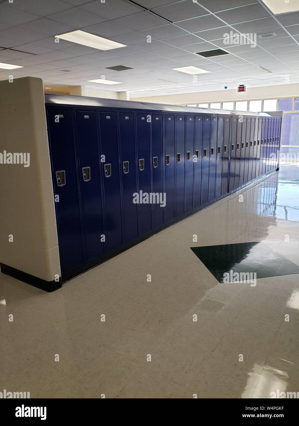 A bank of blue student lockers in a clean middle school hallway Stock ...