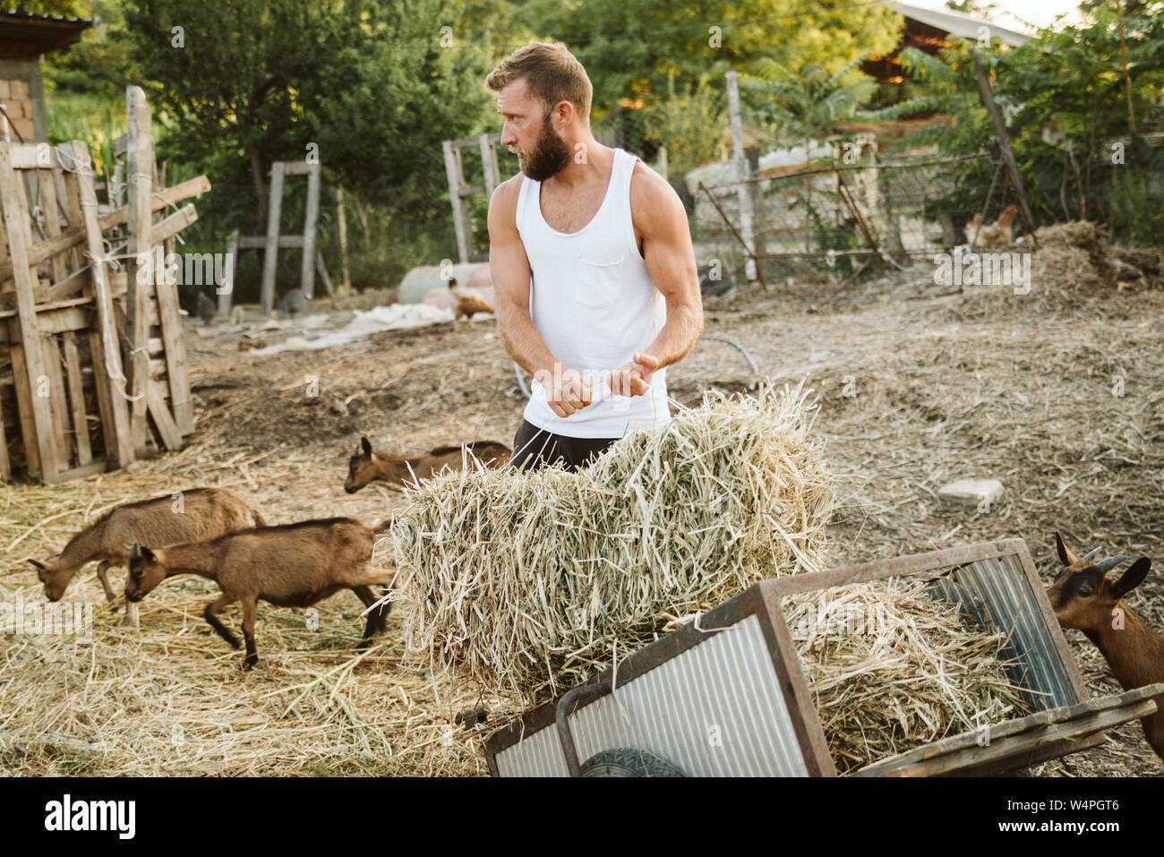 Goat farmer jug hi-res stock photography and images - Alamy