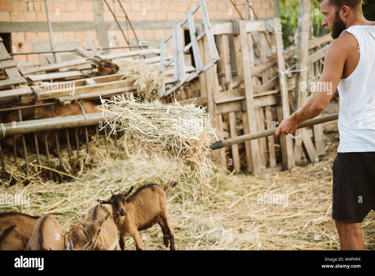 Goat farmer jug hi-res stock photography and images - Alamy