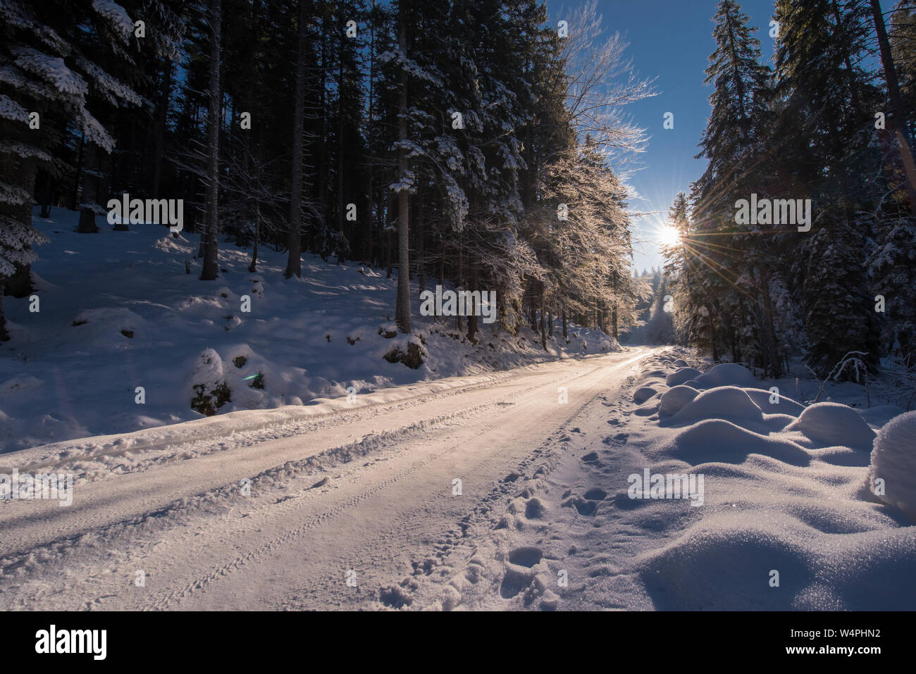 Beautiful winter landscape Snowy country road on beatiful winter day ...