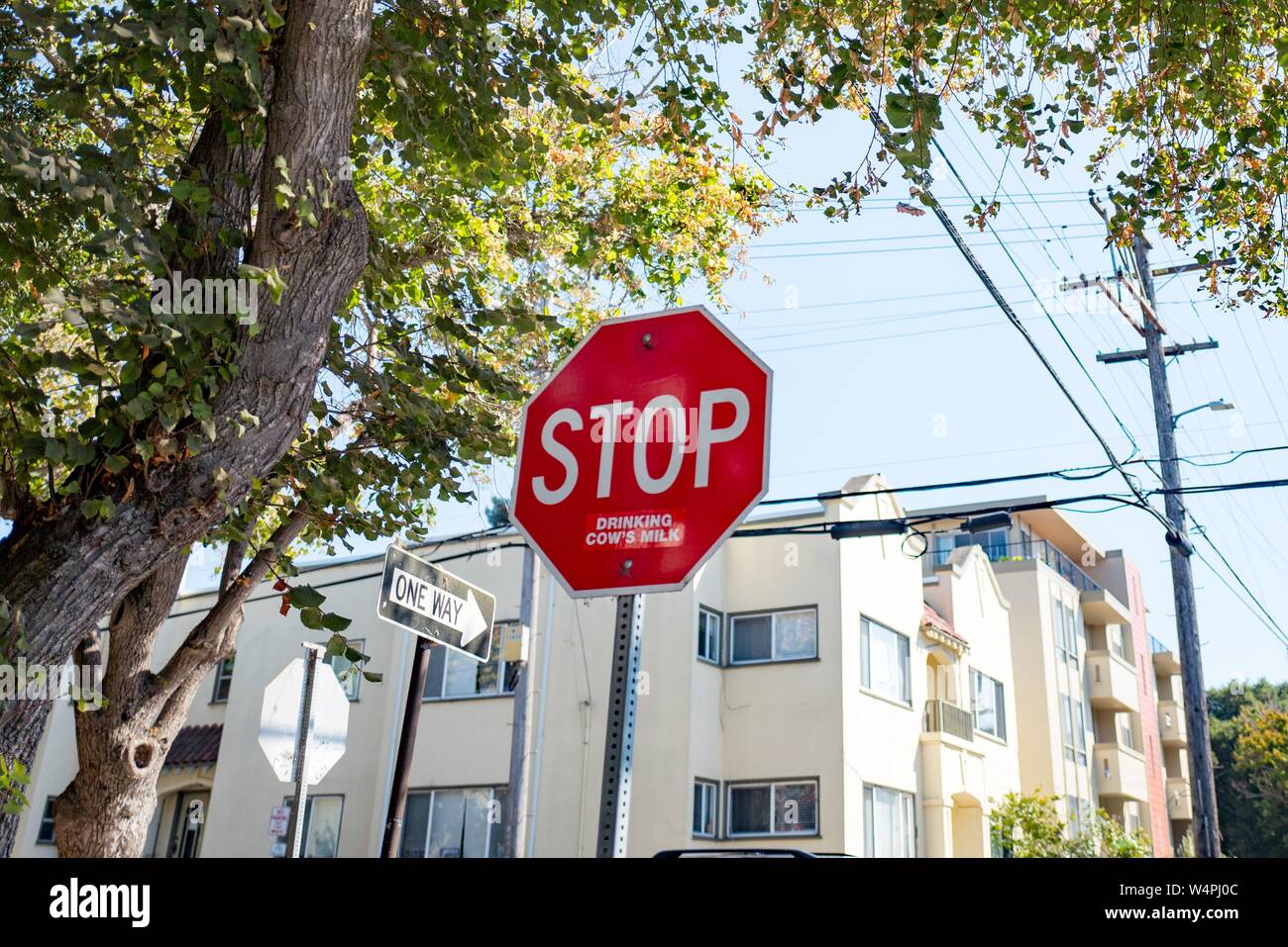 Graffiti stop sign hi-res stock photography and images - Alamy