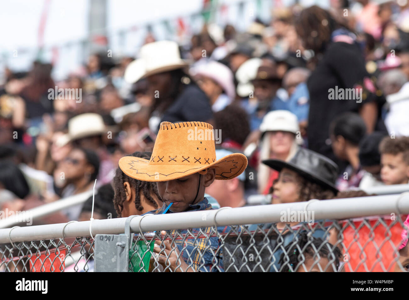 African american cowboy rodeo hi-res stock photography and images - Alamy