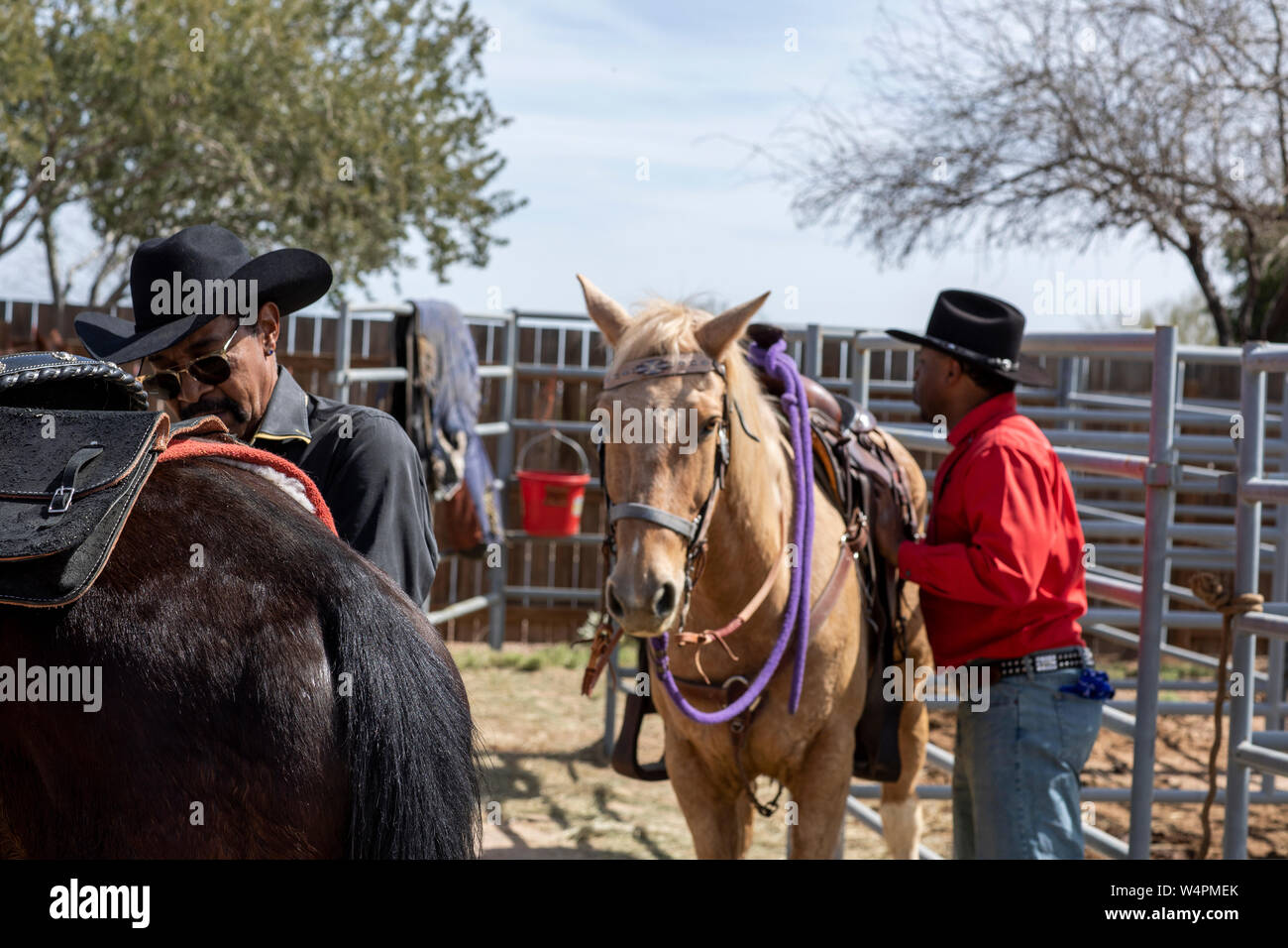 Cowboys prepare their horses backstage at the Arizona black rodeo Stock ...