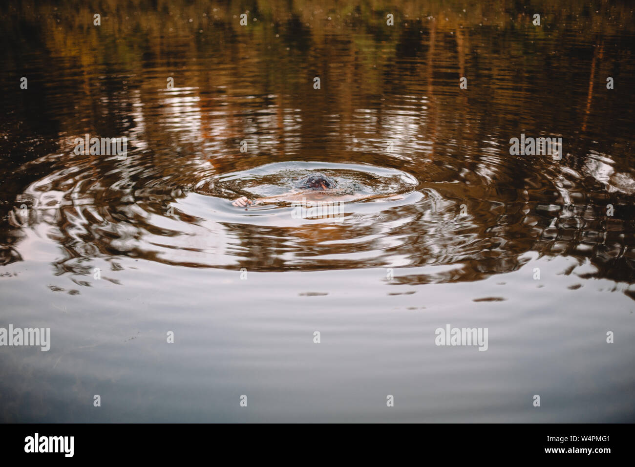 Woman coming out water hi-res stock photography and images - Alamy