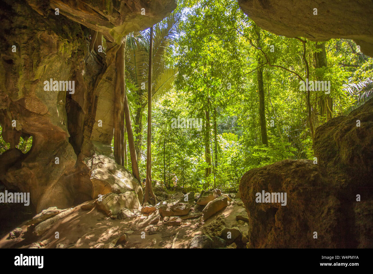 Jungle Cave Entrance