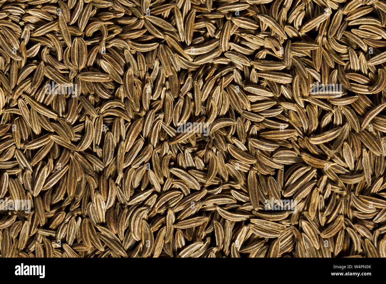 Cumin seeds texture Stock Photo - Alamy