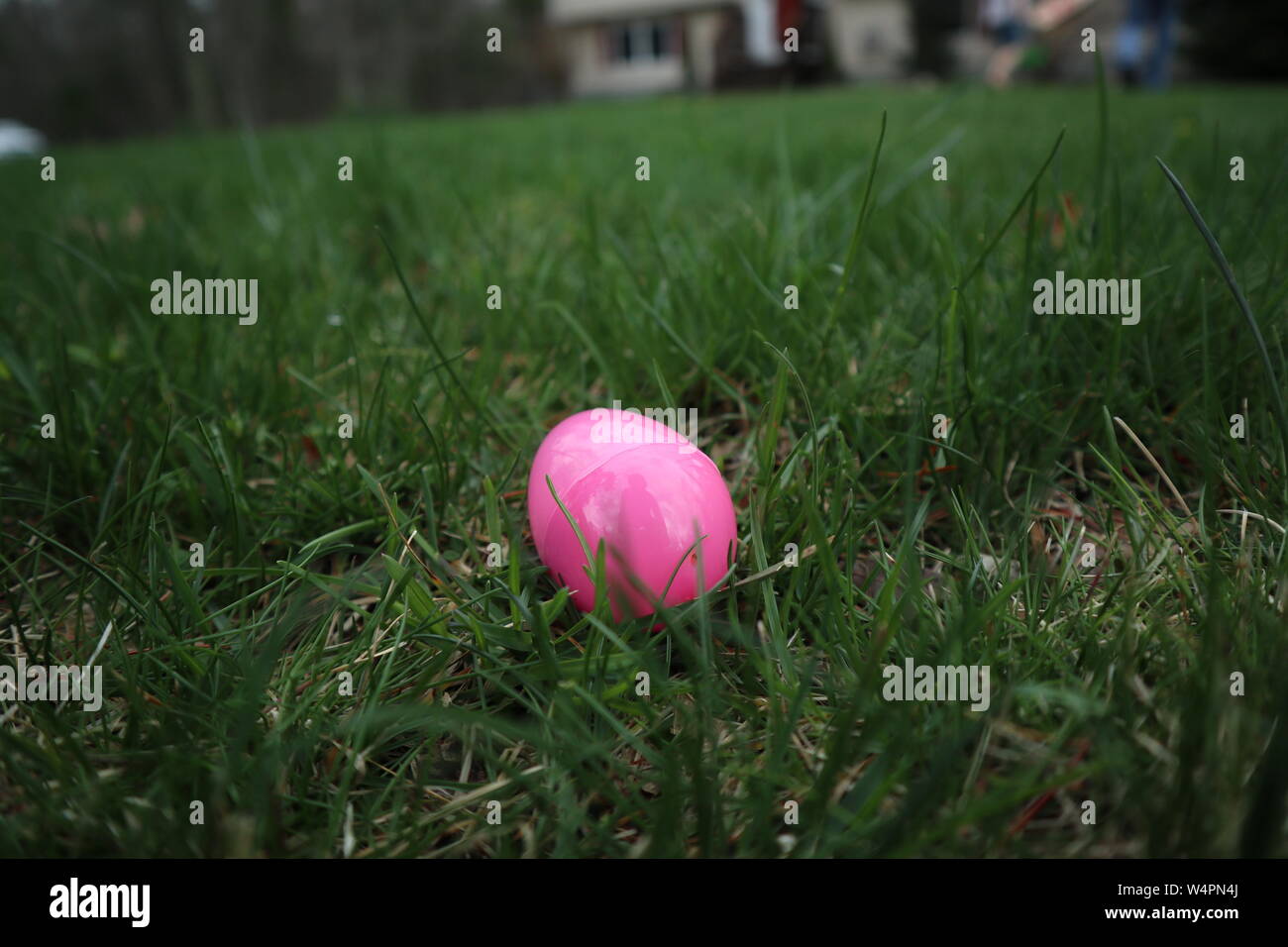 Hunt pink hi-res stock photography and images - Alamy
