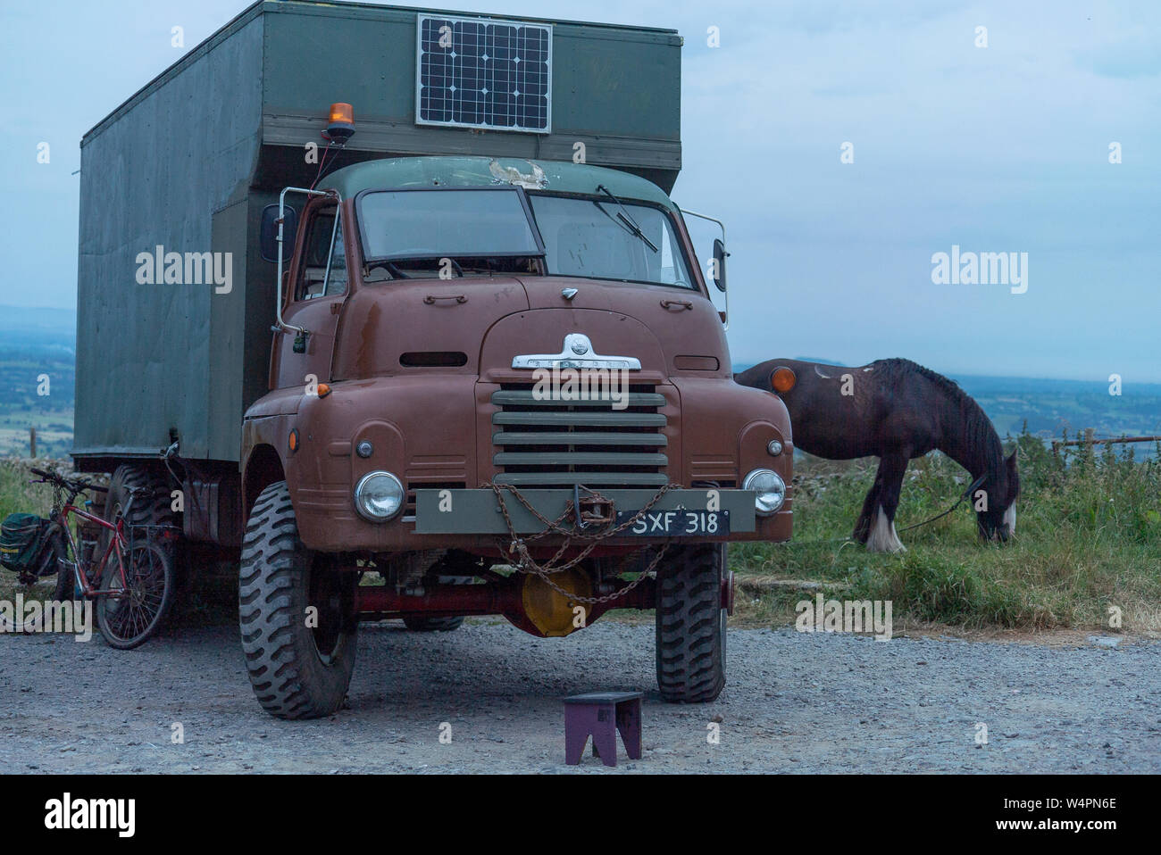 Bedford Vintage Lorry traveler with horse in Mendip, Somerset UK Stock ...