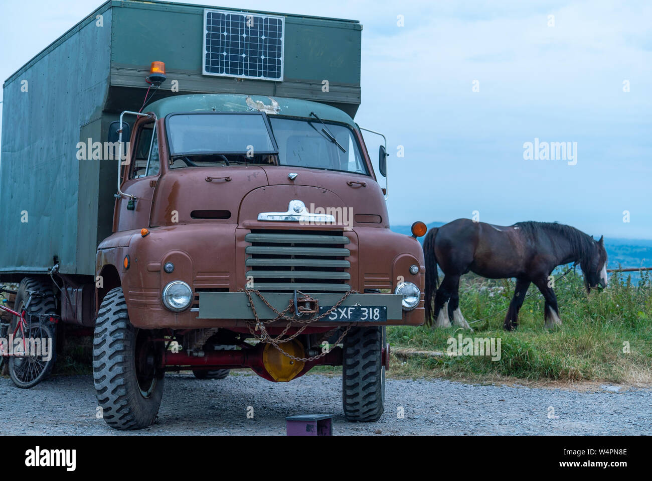 Bedford Vintage Lorry traveler with horse in Mendip, Somerset UK Stock ...