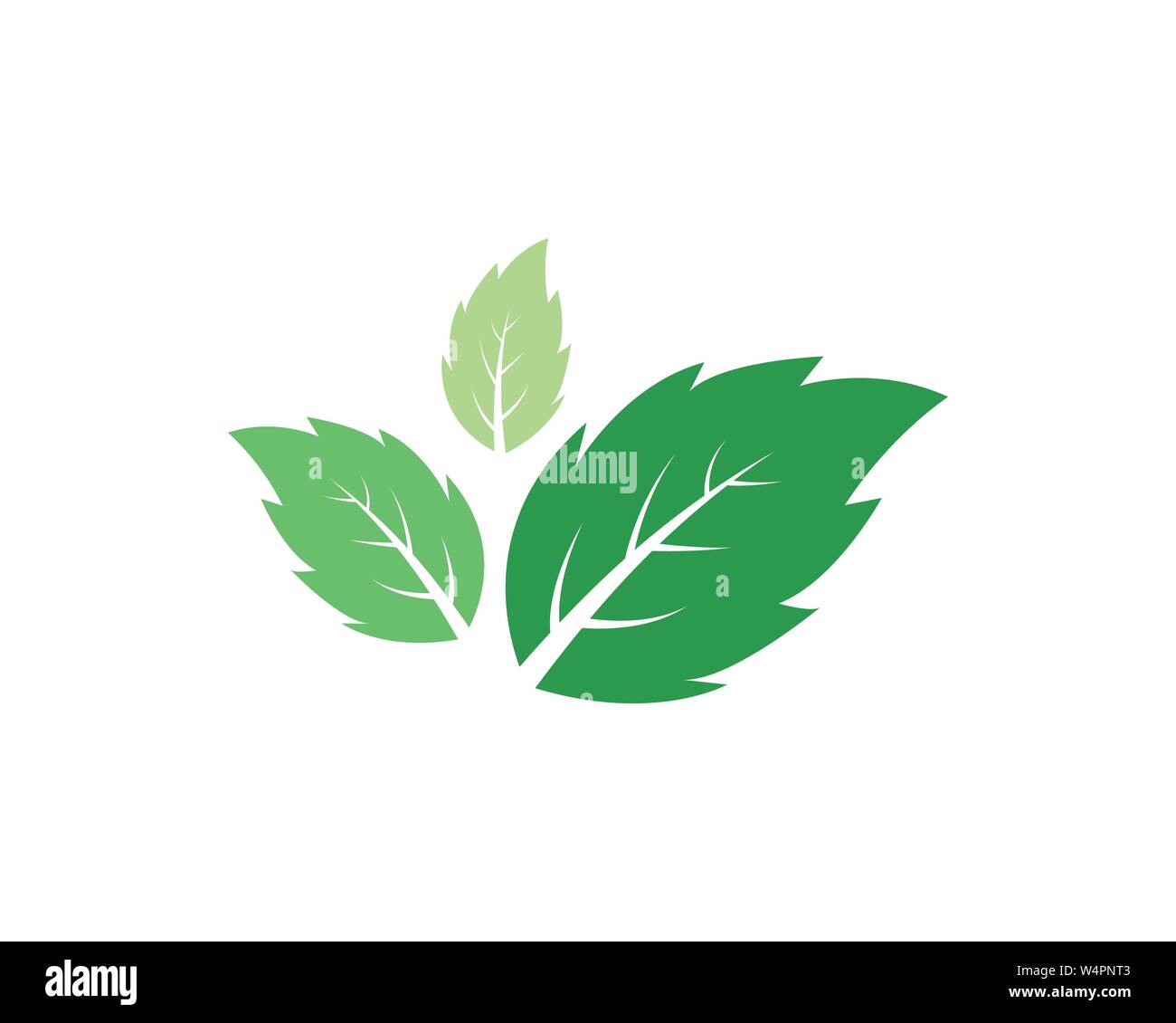 Natural color vector vectors Cut Out Stock Images & Pictures - Alamy