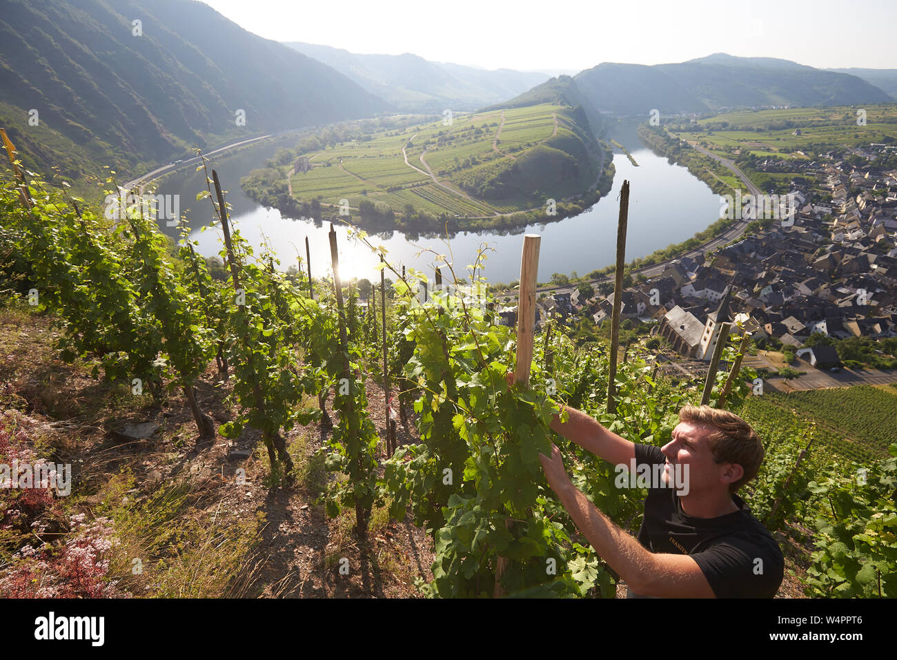Steepest vineyard in europe hi-res stock photography and images - Alamy