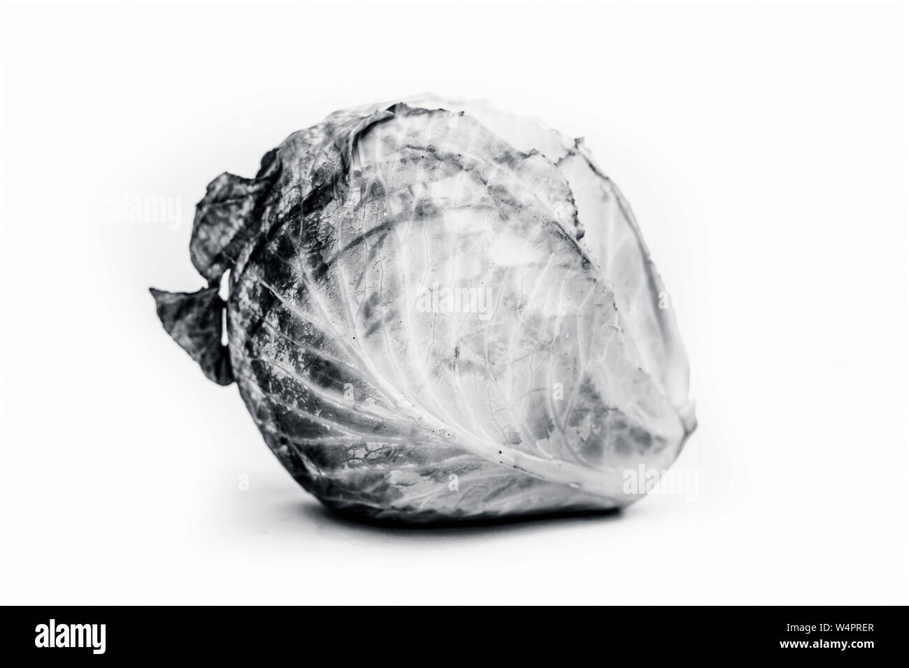 Pata gobi hi-res stock photography and images - Alamy