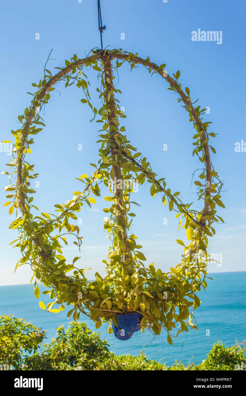 Greenpeace logo hi-res stock photography and images - Alamy