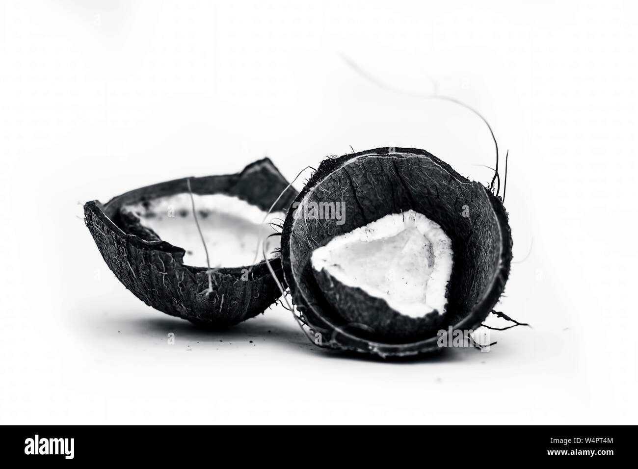 Two cut or sliced dried coconuts isolated on white with dry flash in it ...