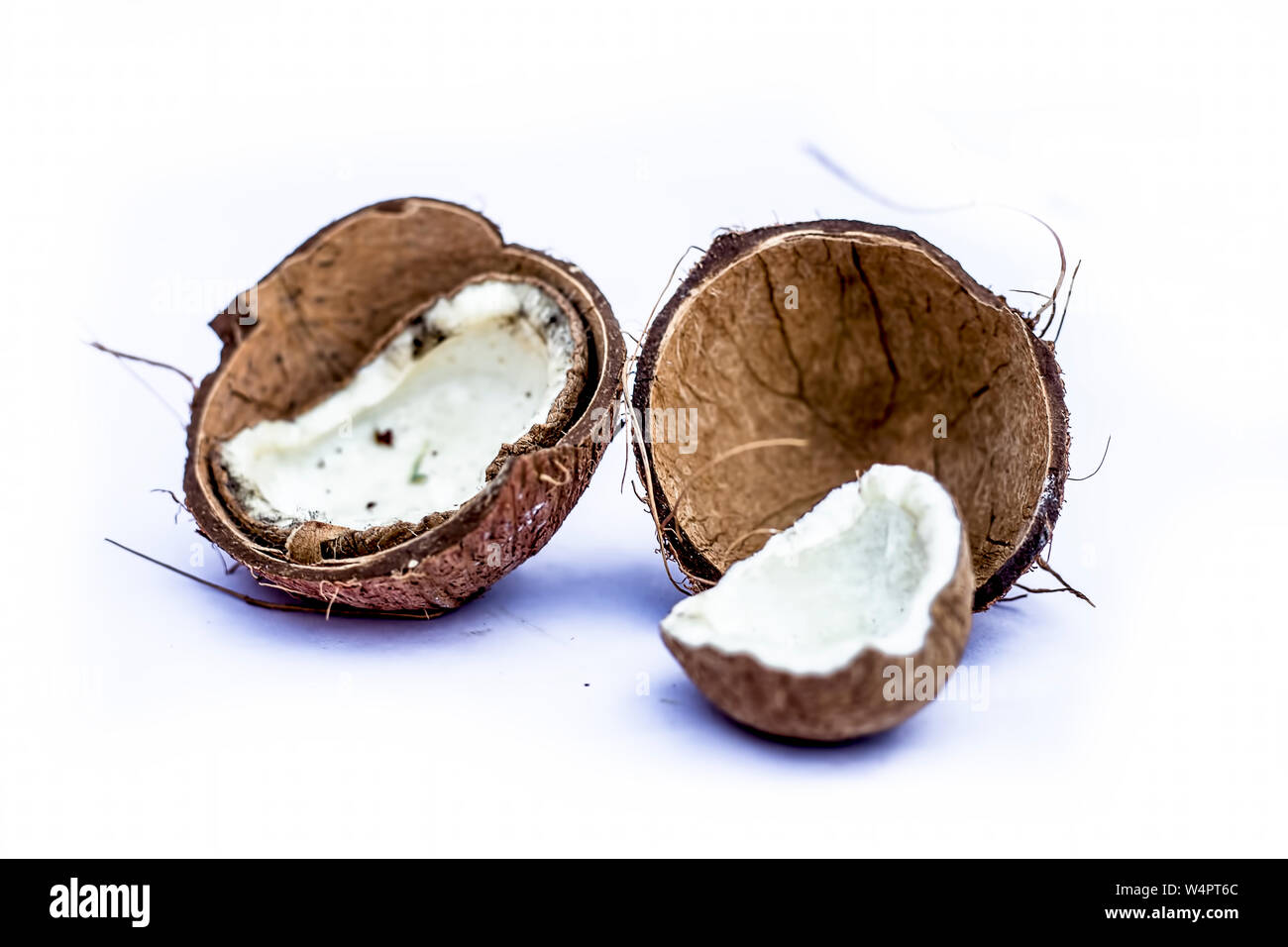 Two cut or sliced dried coconuts isolated on white with dry flash in it ...