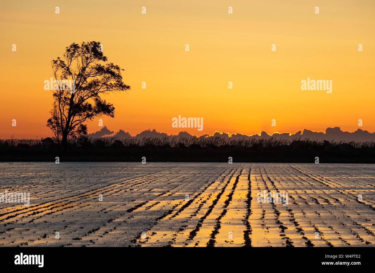 Catalonia nature reserve hi-res stock photography and images - Alamy