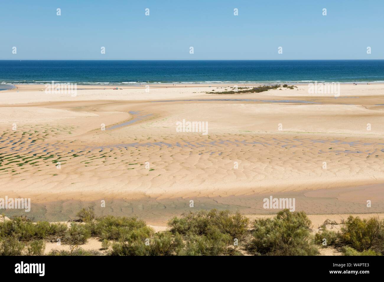 Lagoon, Ria Formosa nature park Park, Atlantic Coast, Olhao, Algarve ...