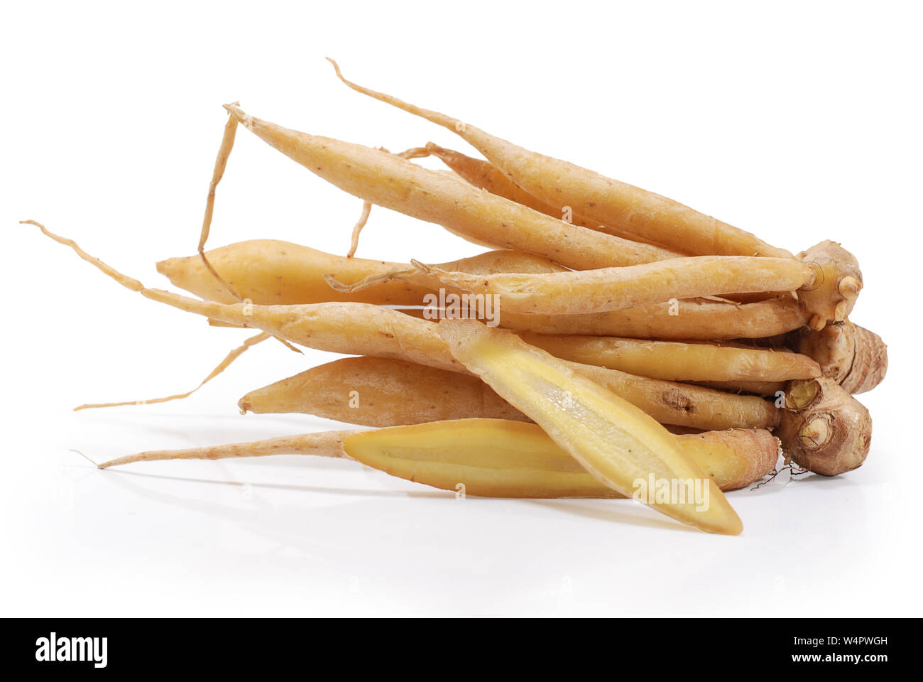Fingerroot isolated on white background Stock Photo - Alamy