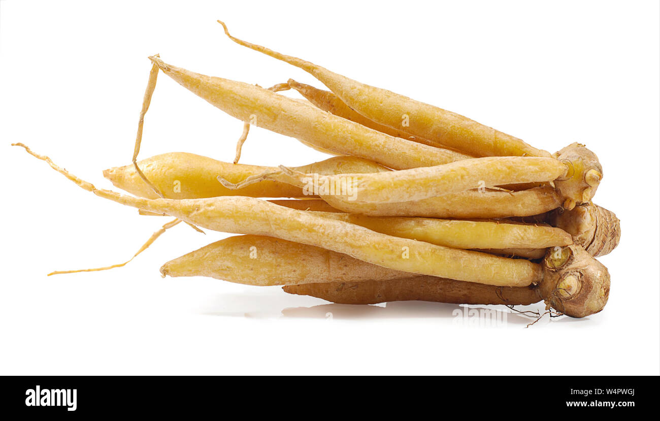 Fingerroot isolated on white background Stock Photo - Alamy