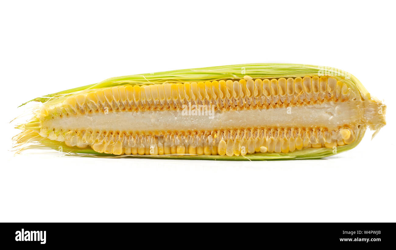 Fresh Corn isolated cut out on white background Stock Photo - Alamy
