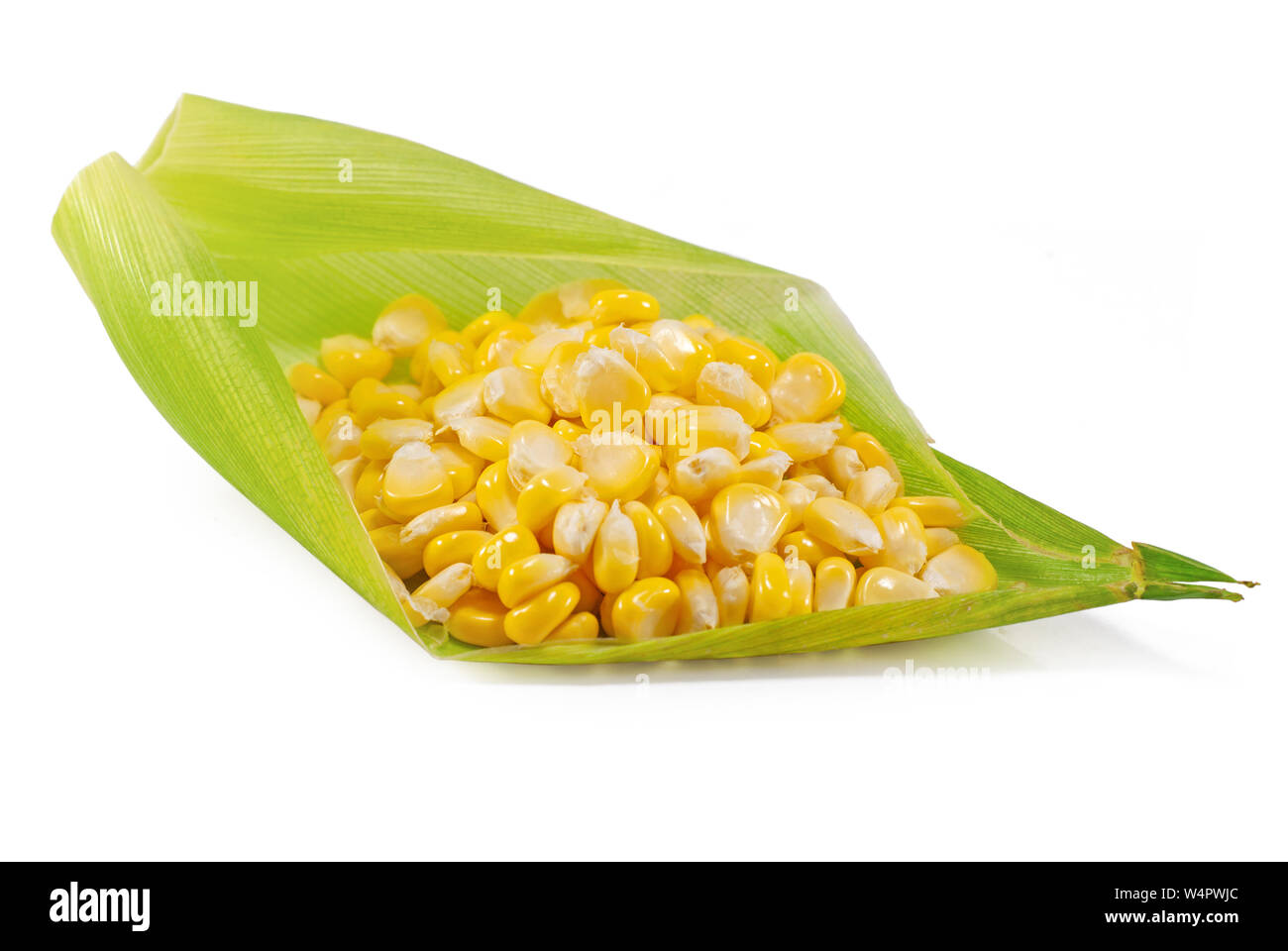 Fresh Corn isolated cut out on white background Stock Photo - Alamy