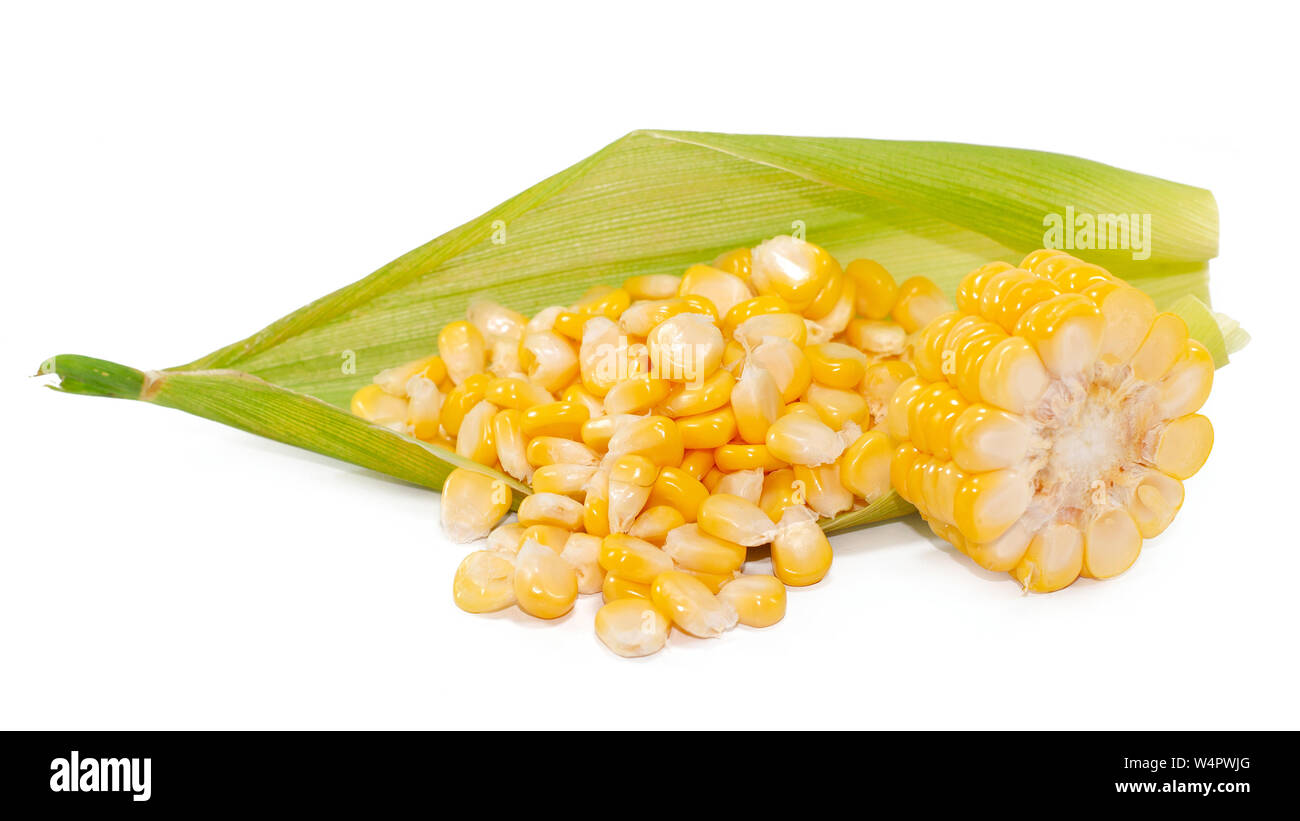 Fresh Corn isolated cut out on white background Stock Photo - Alamy