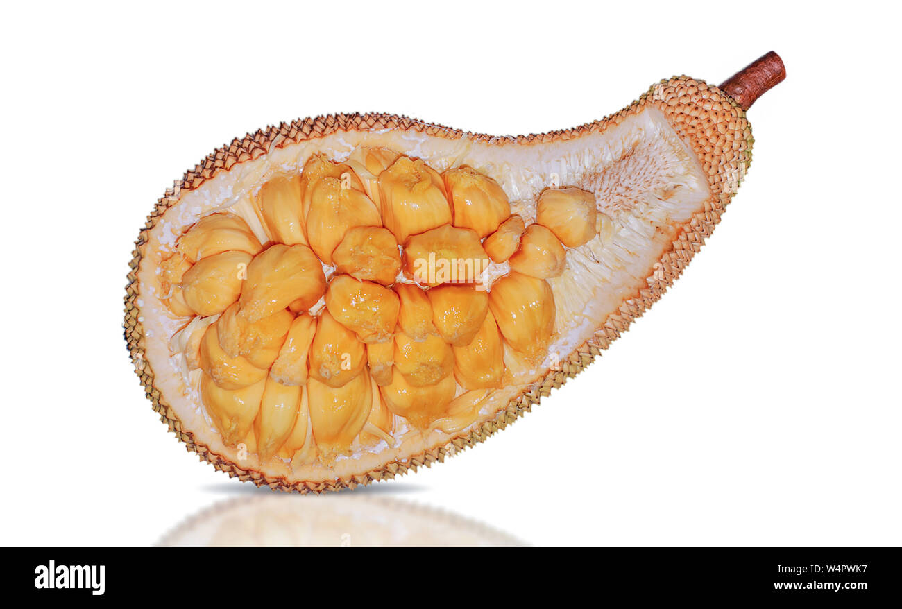 Cempedak artocarpus integer hi-res stock photography and images - Alamy