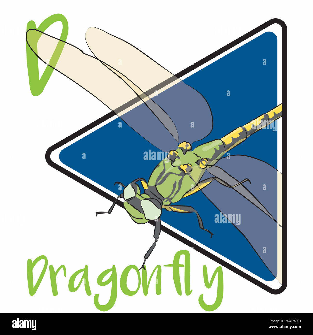 Insect Outline Vector High Resolution Stock Photography and Images - Alamy