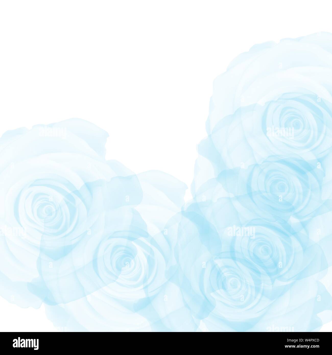 light blue hand drawn watercolor transparent roses background pattern ...