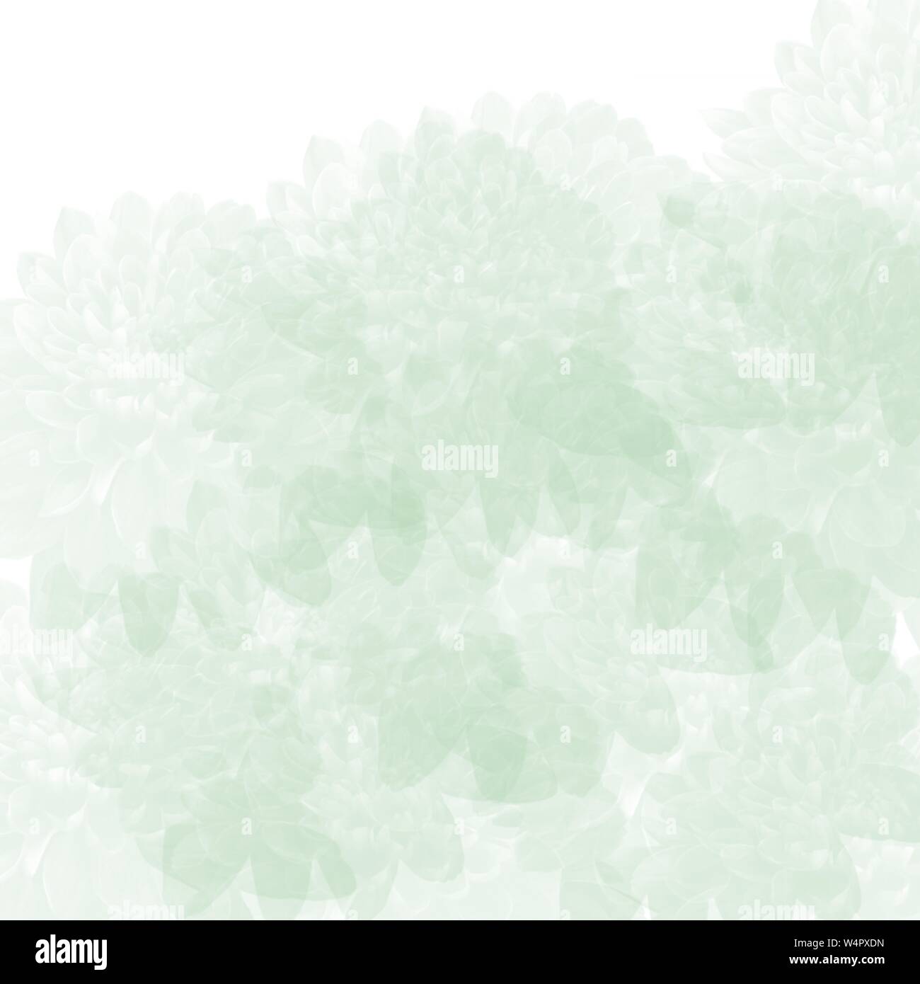 organic green hand drawn watercolor transparent floral background ...