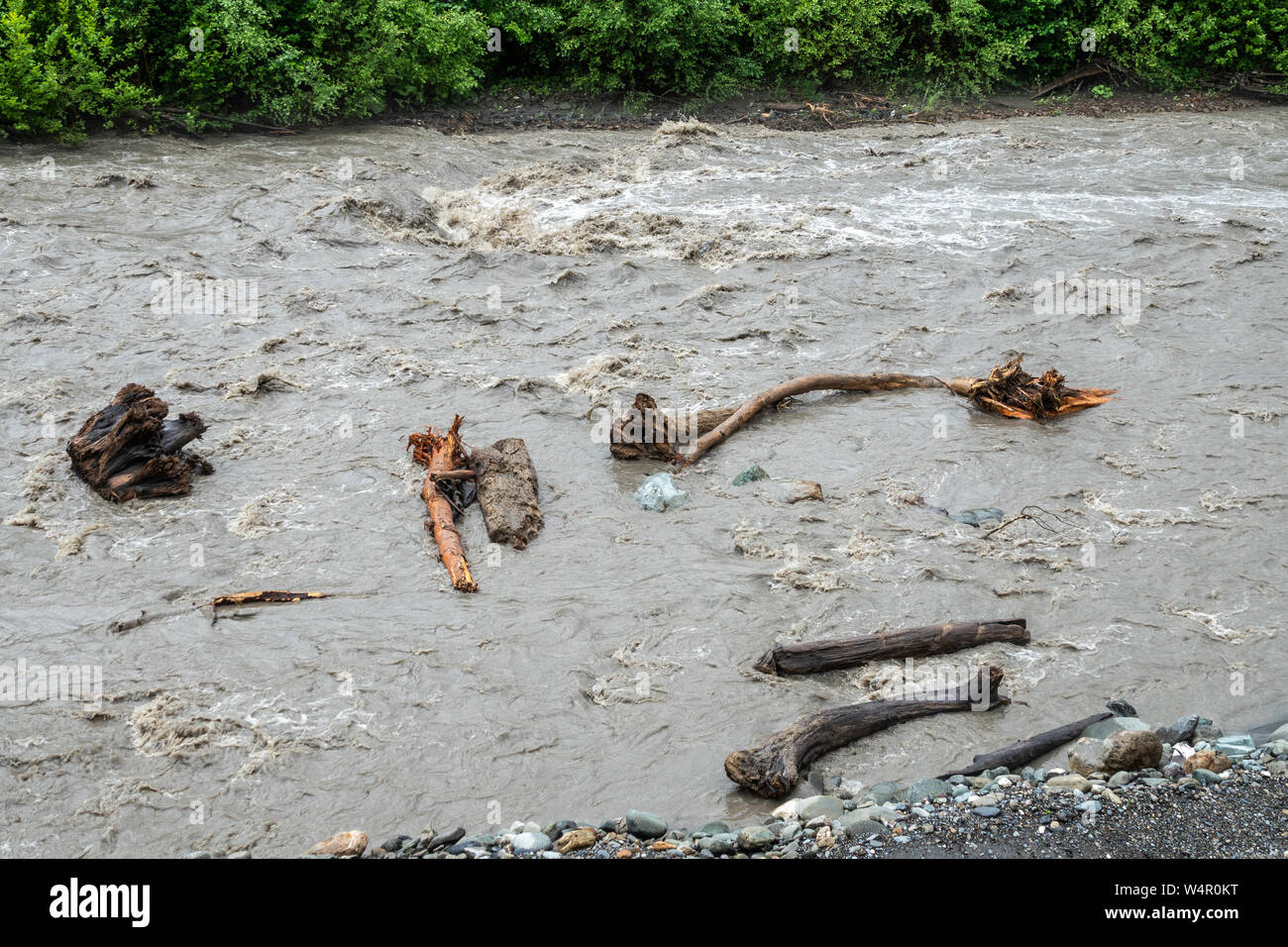 The powerful flow of a mountain river in the spring. Spring flood Stock ...