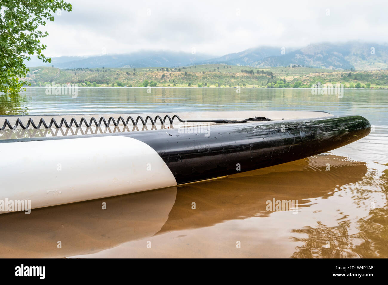Coil leash hi-res stock photography and images - Alamy