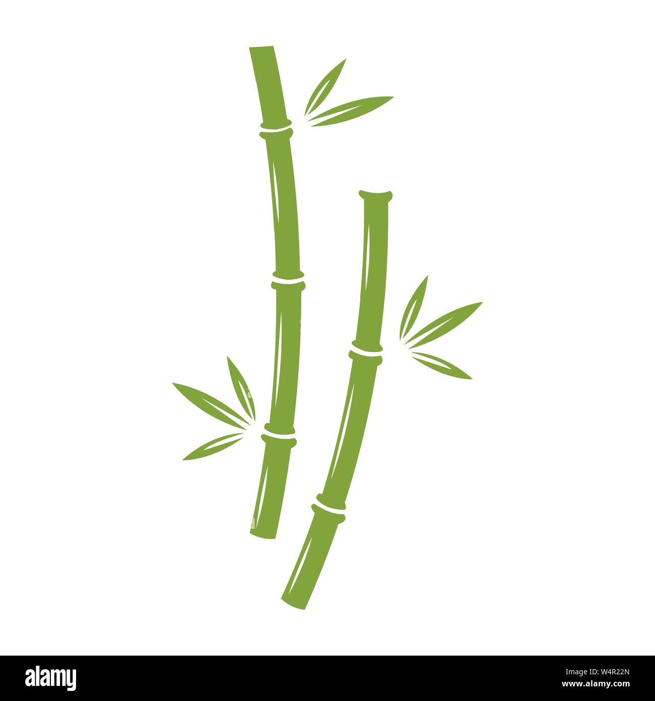 Bamboo vector icon illustration design template Stock Vector Image ...