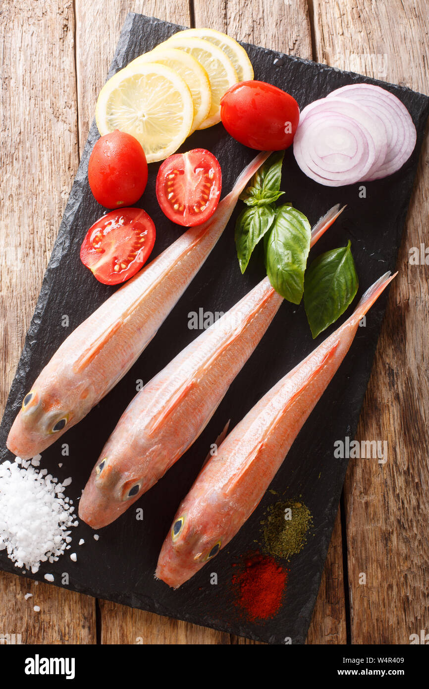 Searobin hi-res stock photography and images - Alamy