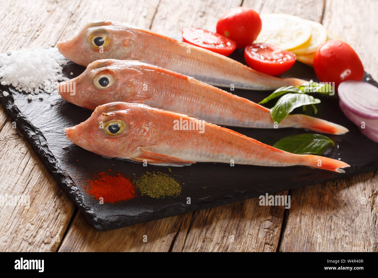 Triglidae hi-res stock photography and images - Alamy