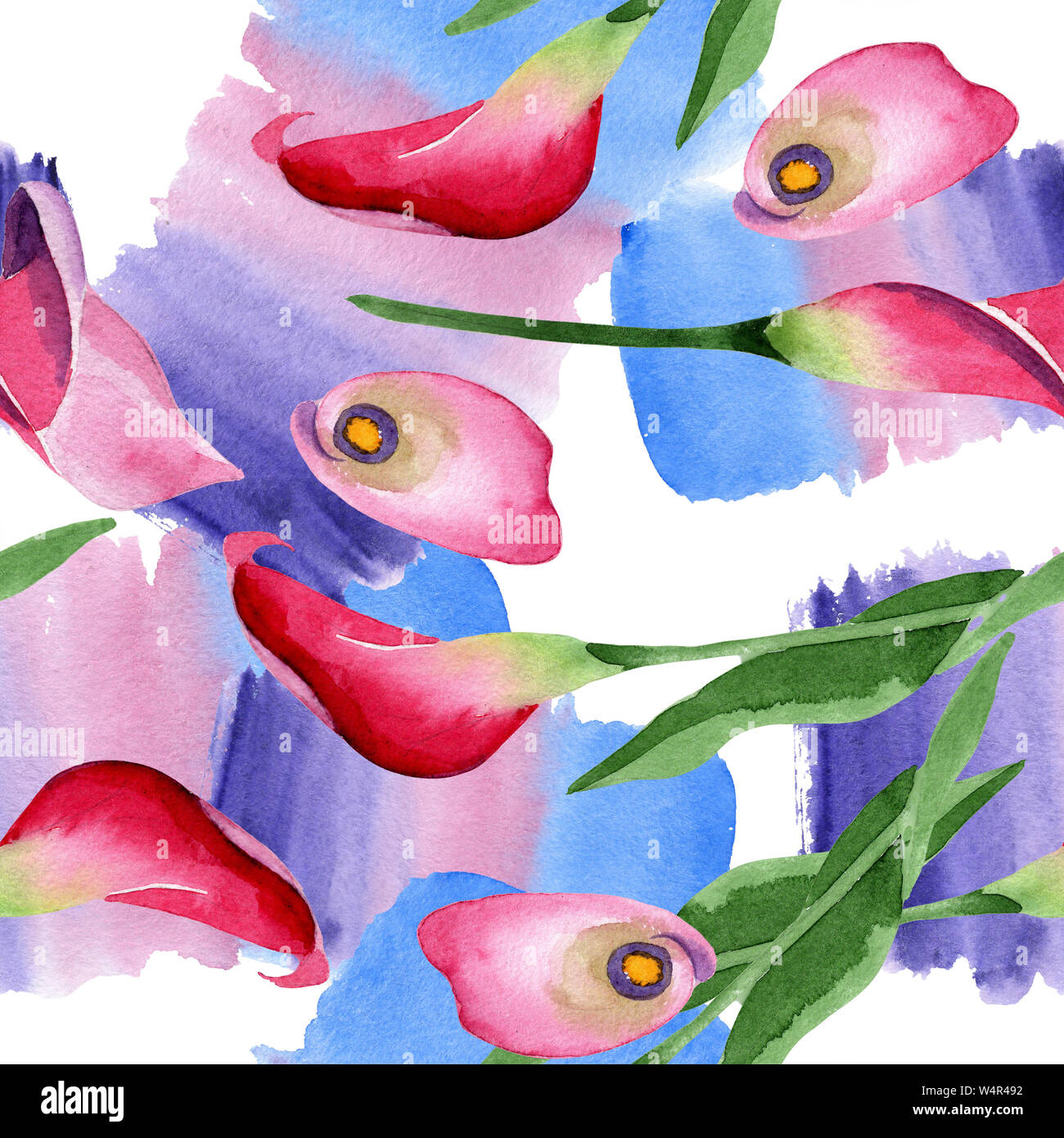 Pink calla floral botanical flower. Watercolor background illustration ...