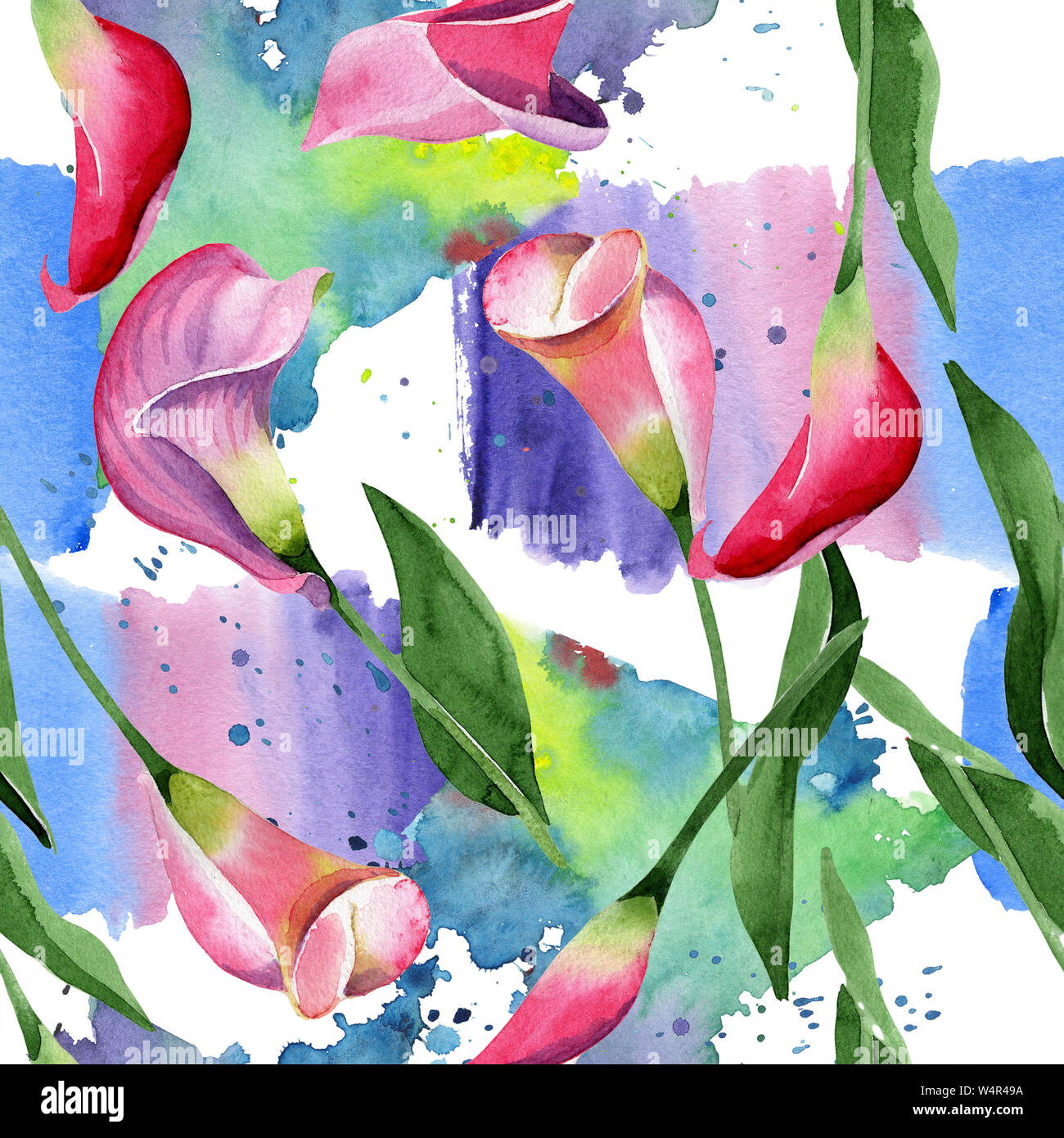Pink calla floral botanical flower. Watercolor background illustration ...