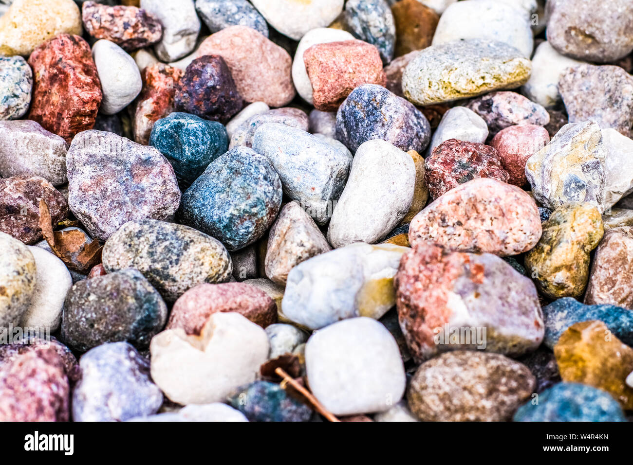 Landscape architecture, interior design and nature elements concept ...