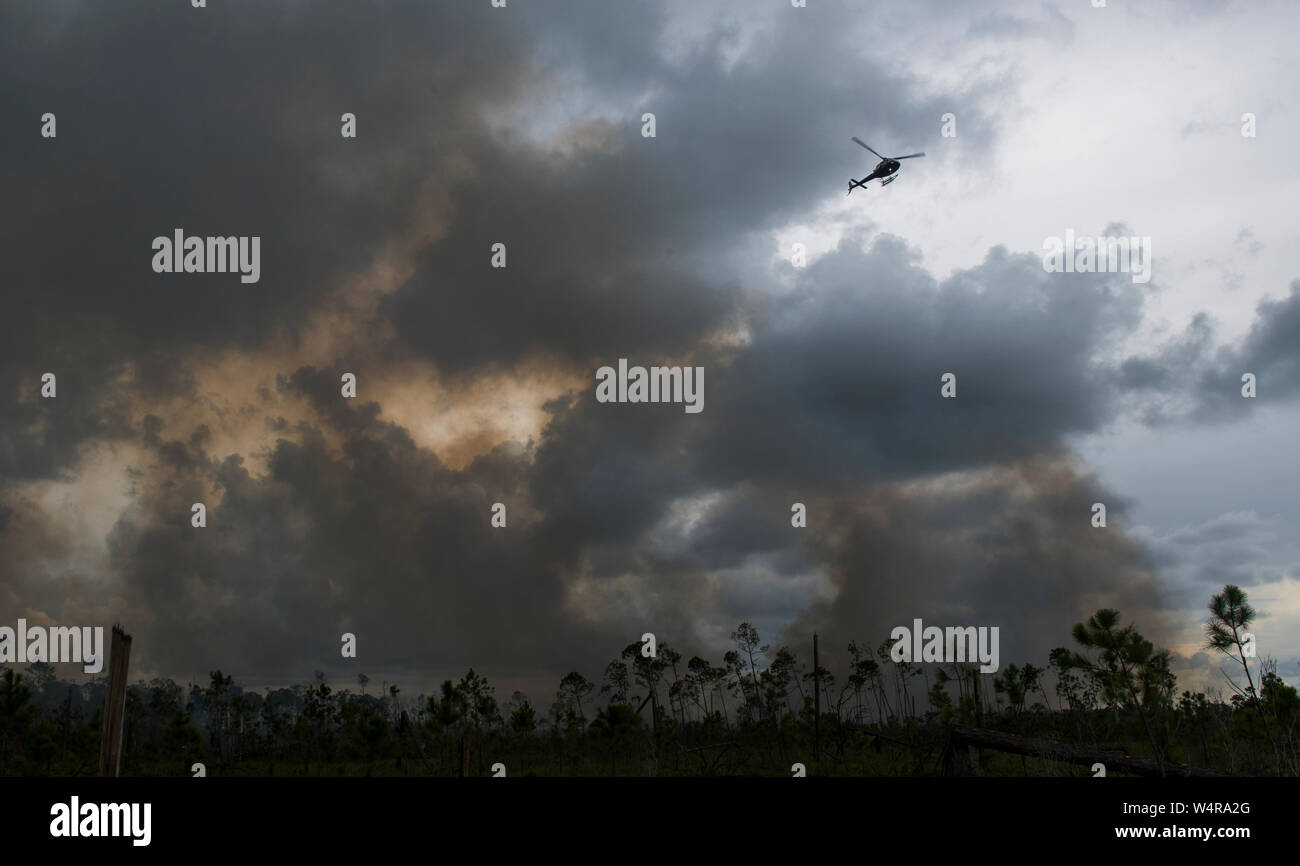 A helicopter flies over and ignites a prescribed fire across a 600-acre ...