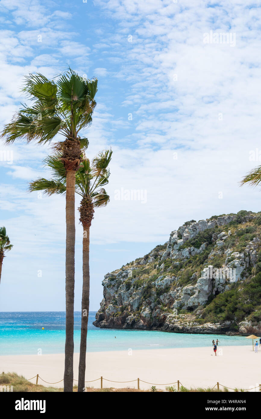 Palm trees on a Mediterranean beach in Menorca Stock Photo - Alamy