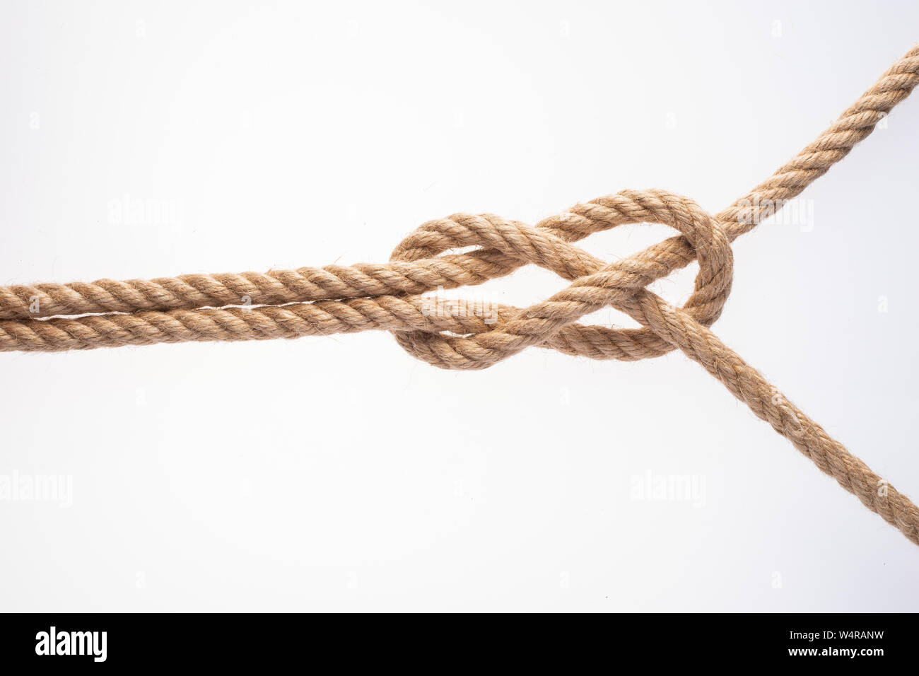 Sheet Band Knot on white background. Rope node Stock Photo - Alamy