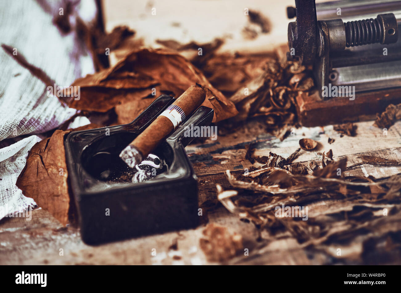 Cuban cigarettes hi-res stock photography and images - Alamy