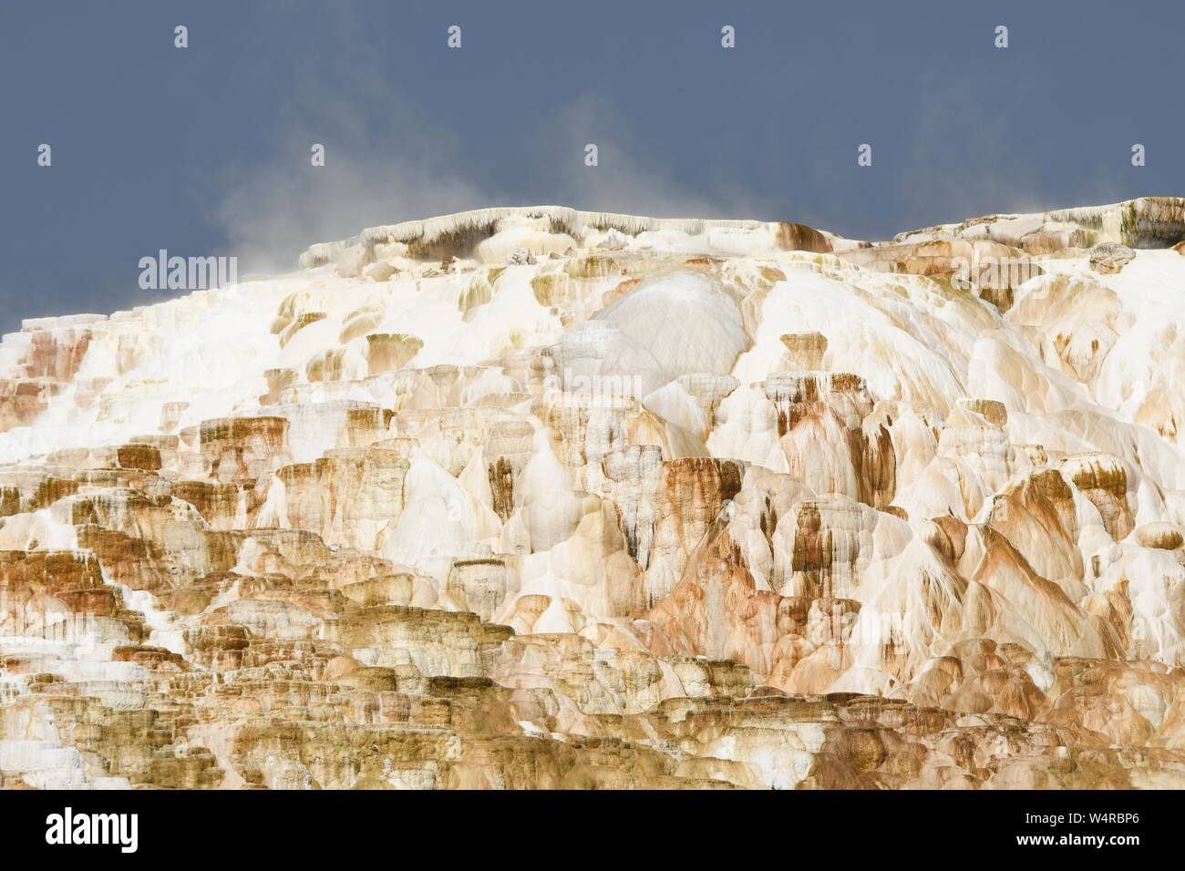 thermal springs and limestone formations at mammoth hot springs in ...