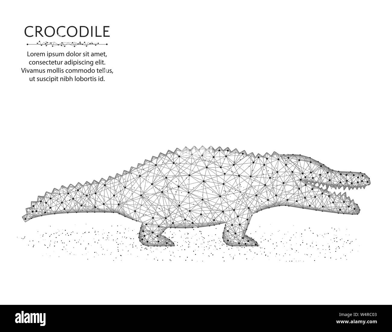 Crocodile low poly design, African animal polygonal wireframe vector ...