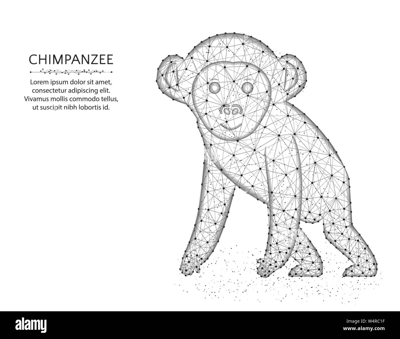 A monkey low poly design, African animal abstract graphics, primate ...