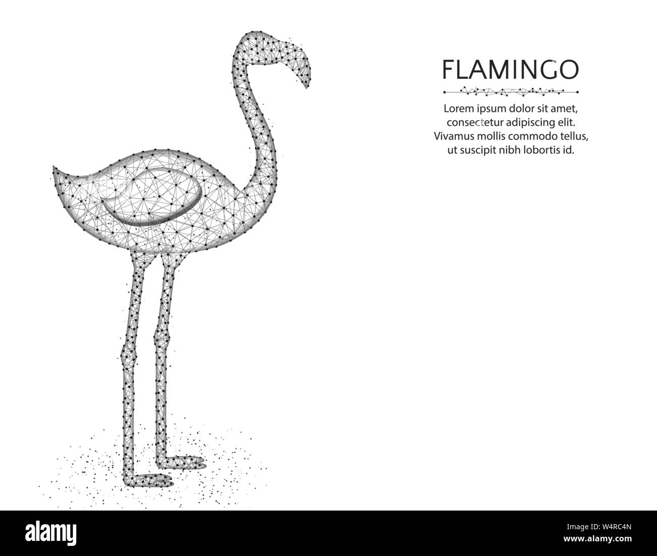Flamingo low poly design, African animal abstract graphics, bird ...